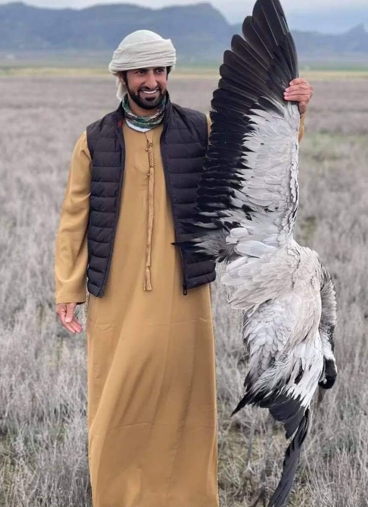 Arab tourists in Azerbaijan continue hunting endangered birds despite ...