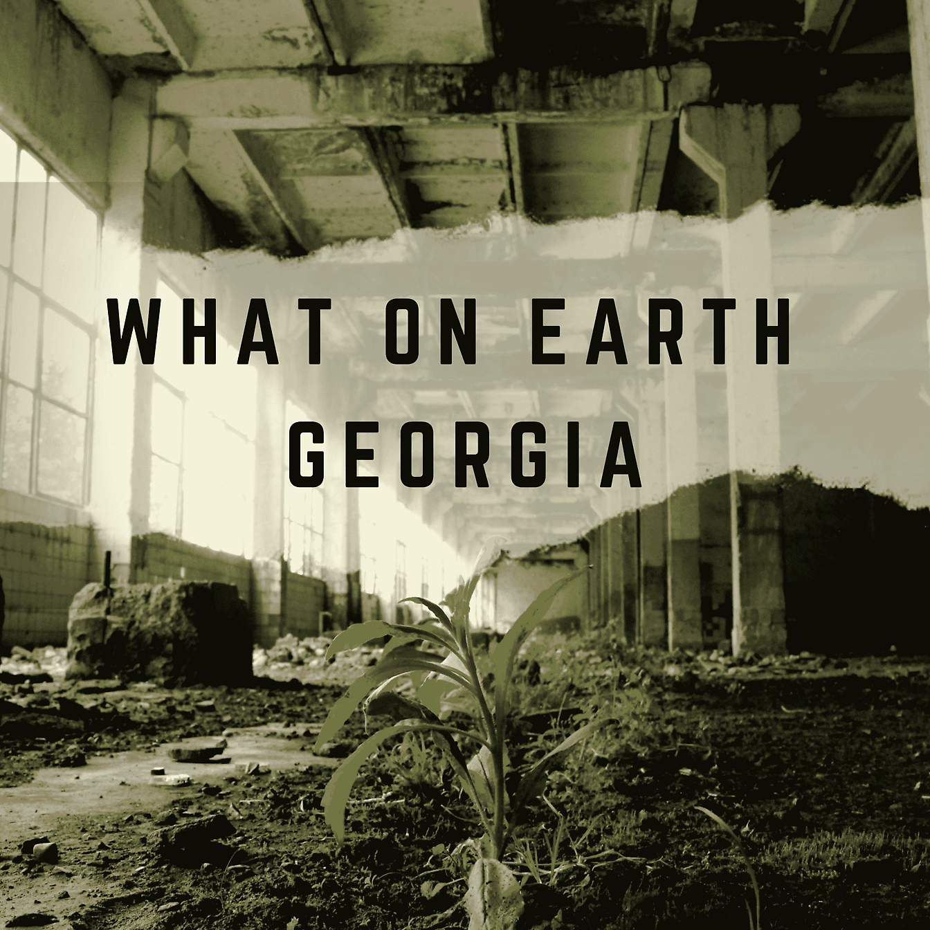 What on Earth Georgia - Podcasts about ecology in Georgia
