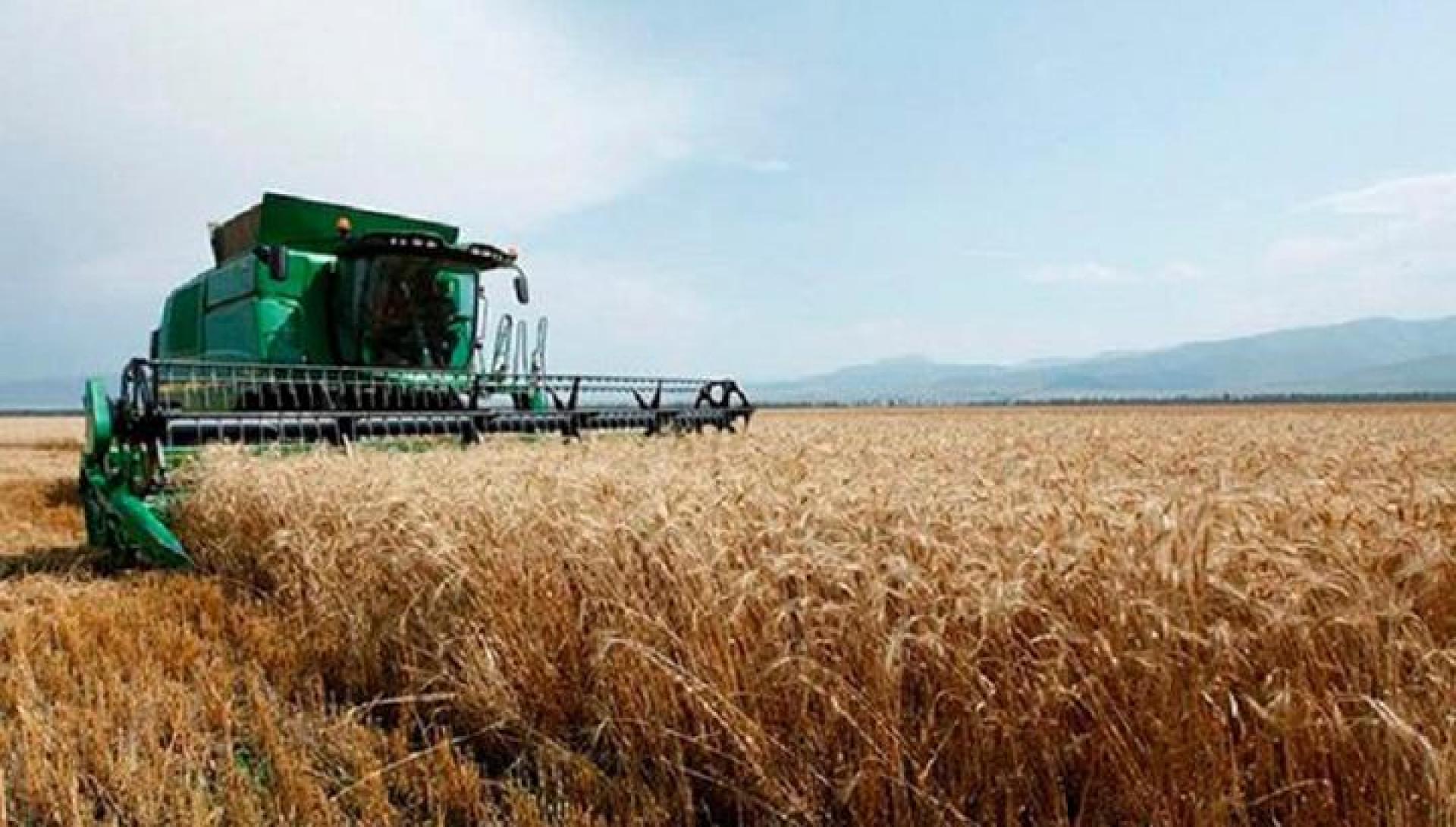 Shortage of grain in Armenia is expected amid Russian-Ukranian war