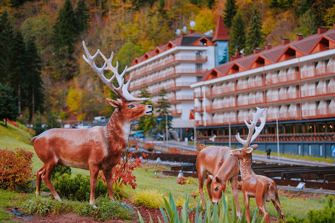 Mineral waters of Sairme - history and useful properties, JAMnews