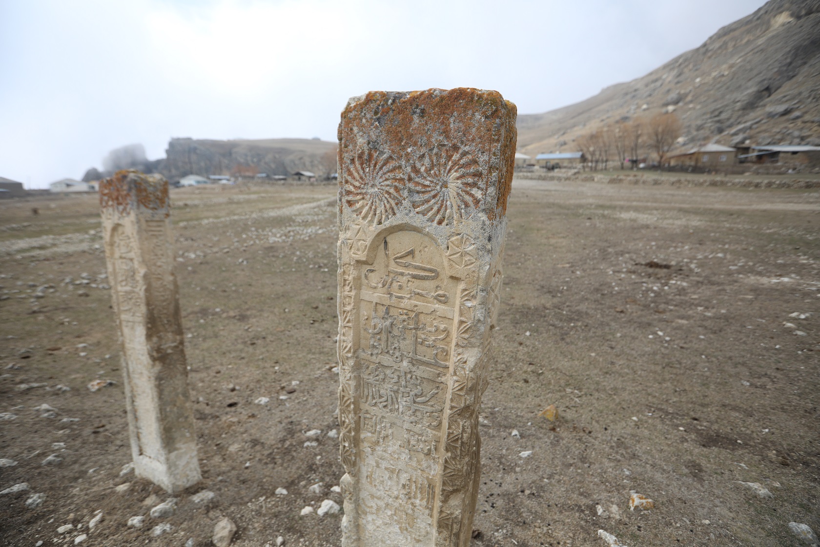 Griz and their tongue on the brink of extinction, JAMnews